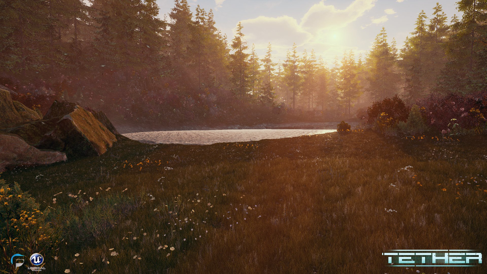 Imágenes de Tether - 3DJuegos