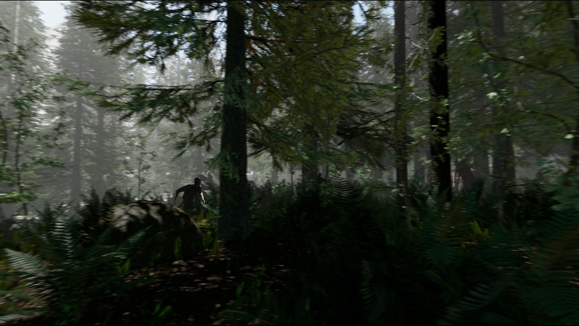 The Forest para PC - 3DJuegos